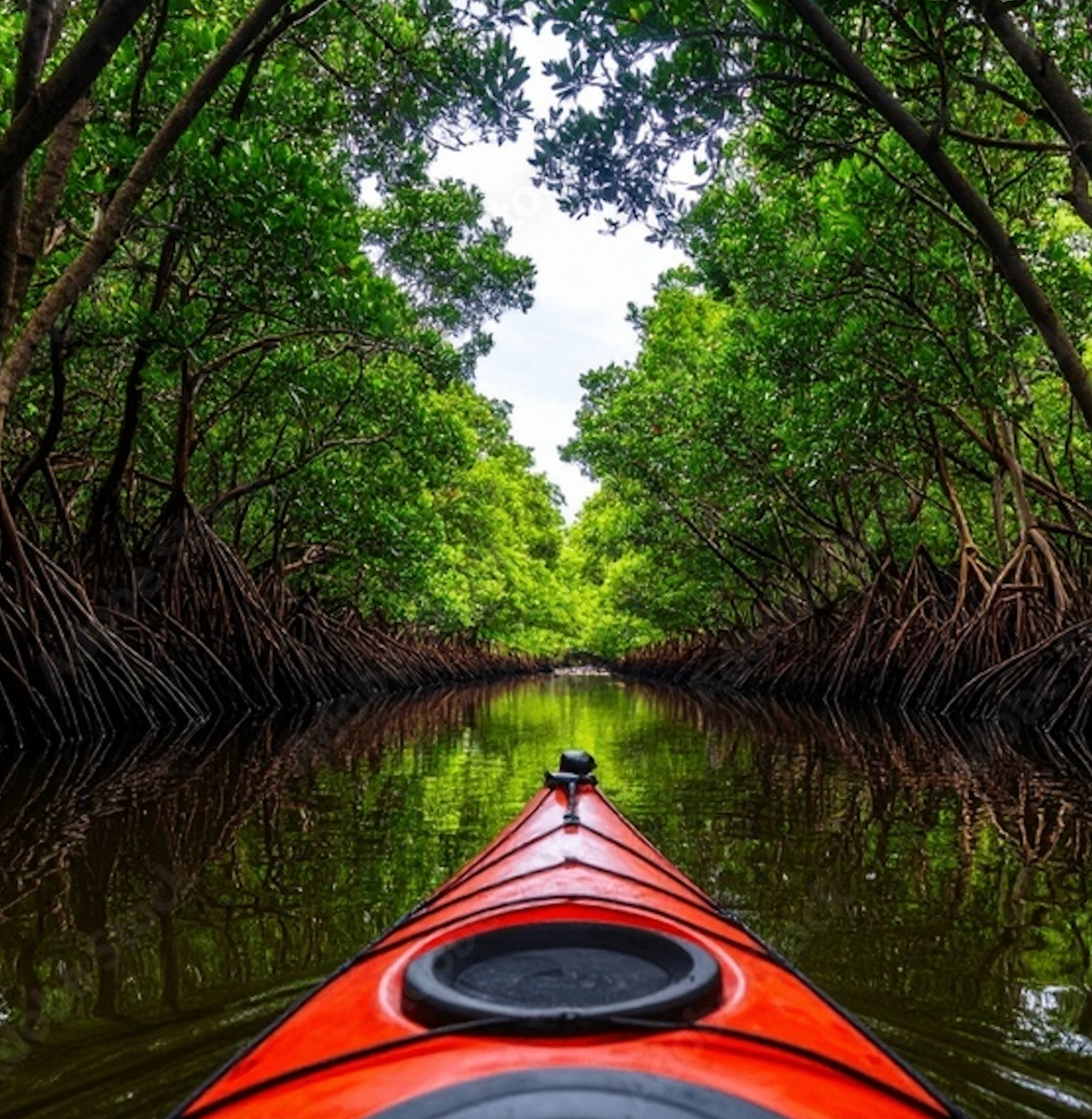 Samudra - The Ocean Intelligence Platform